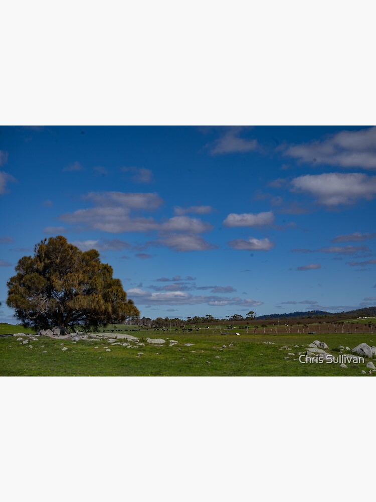 "Tasmanian Countryside" Sticker for Sale by twelvepointfour | Redbubble