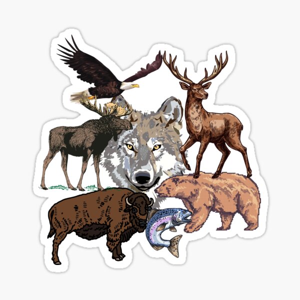 "North American Wildlife" Sticker by JennasHennas | Redbubble