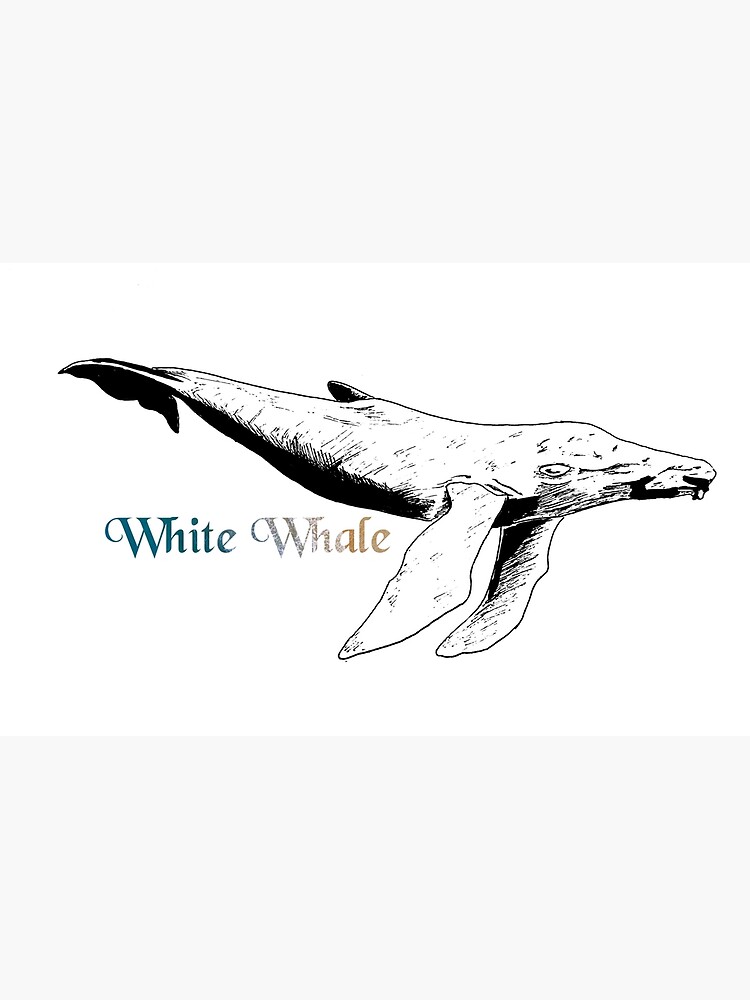 White Whale Moby-Dick Premium Matte Vertical Poster sold by Eduardo Souza | SKU 41633766 | 35% ...
