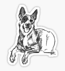 Blue Heeler Stickers | Redbubble