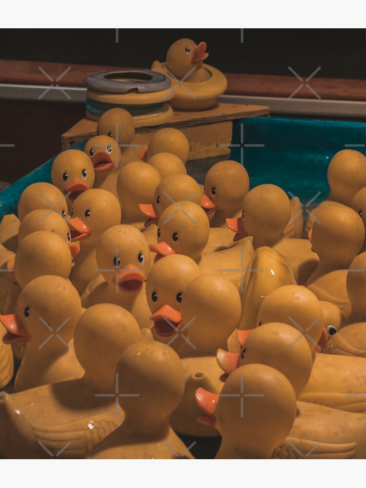 "Rubber Duck Carnival Game Pool" Sticker by JLPhotographer | Redbubble