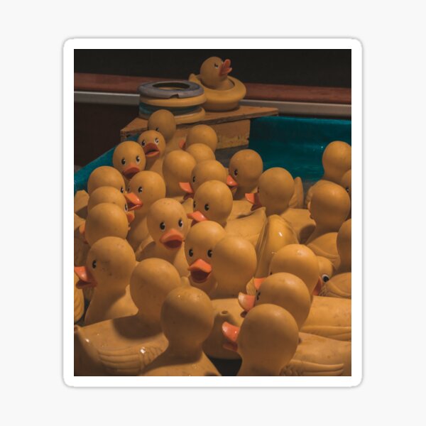 "Rubber Duck Carnival Game Pool" Sticker by JLPhotographer | Redbubble