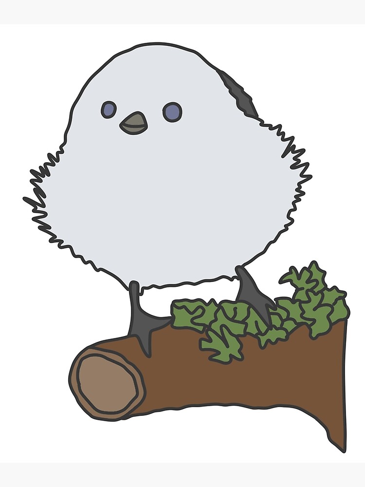 "SHIMA ENAGA | Japanese Bird | Fluffy White Ball | Long-tailed tit ...