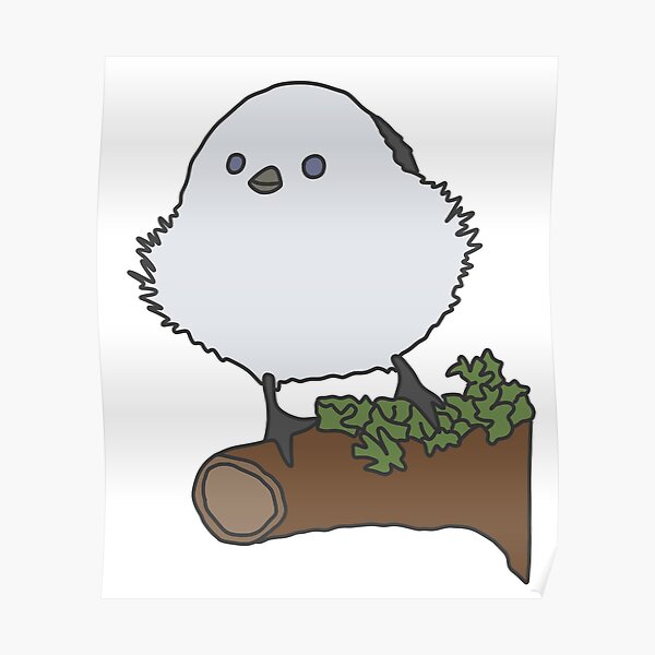 "SHIMA ENAGA | Japanese Bird | Fluffy White Ball | Long-tailed tit ...