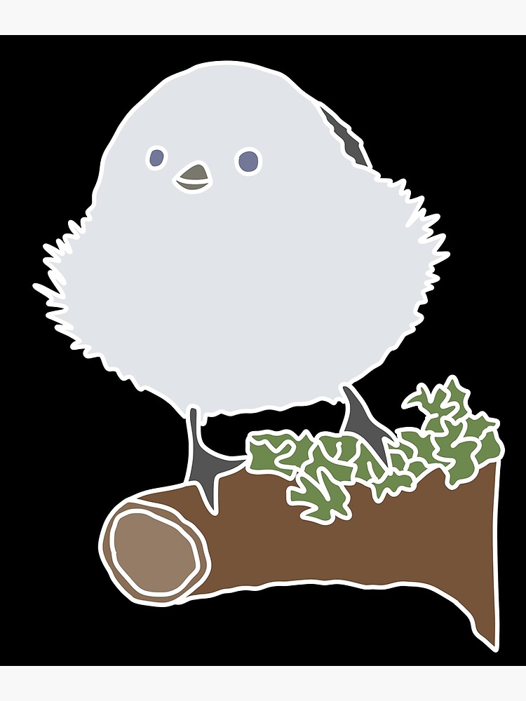 "SHIMA ENAGA | Japanese Bird | Fluffy White Ball | Long-tailed tit ...