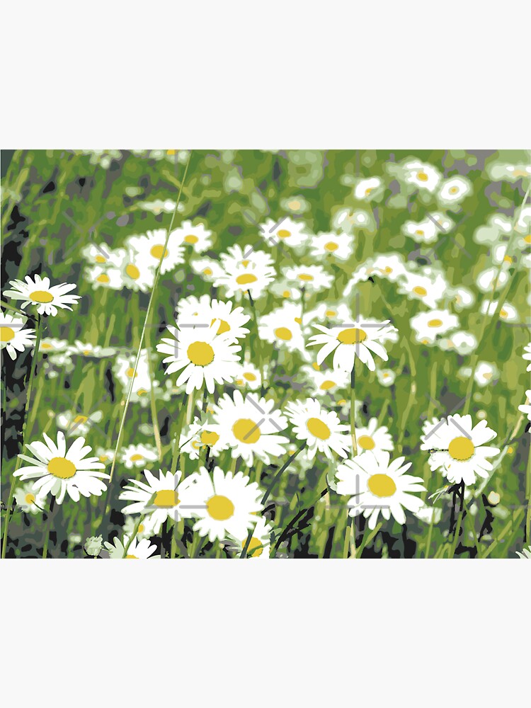 "White Daisey Flower Field - White Daisey " Sticker for Sale by ...
