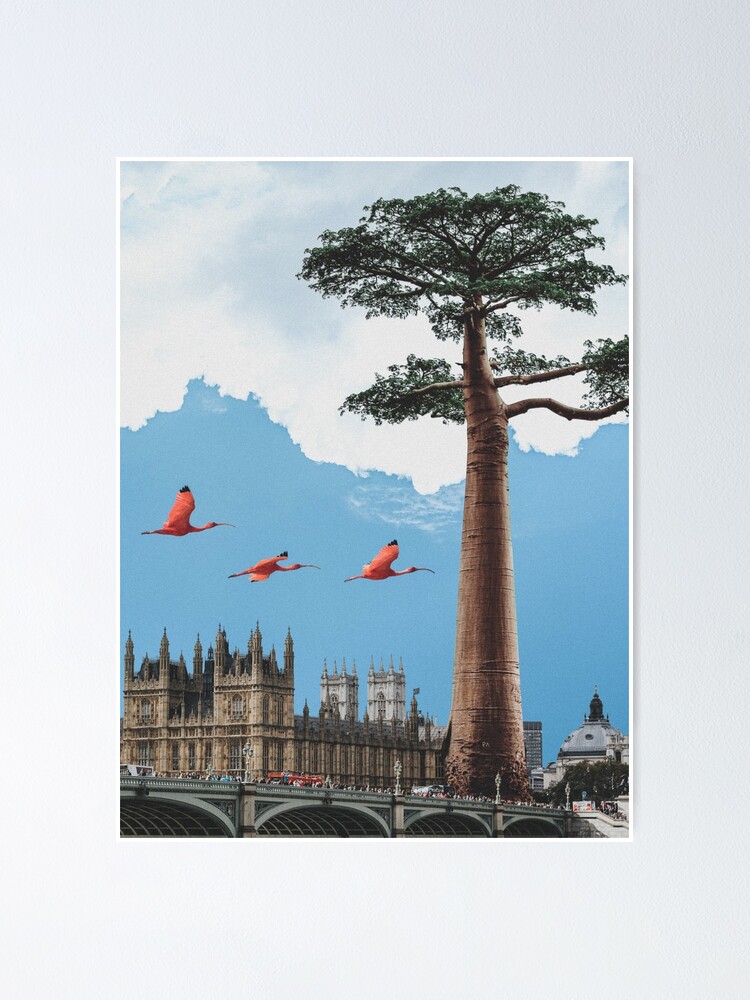"big baobab" Poster for Sale by gaiafightsback | Redbubble