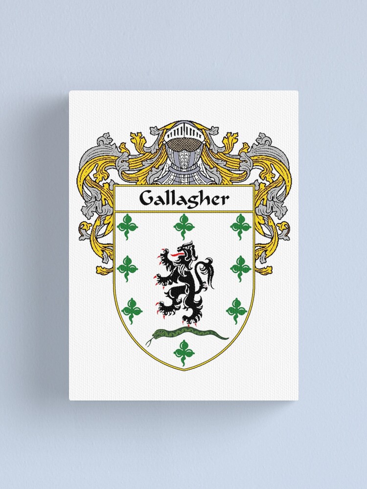 Gallagher Irish Coat of Arms Nob Hill Tumblers - Set of 4 - adcal.com.br