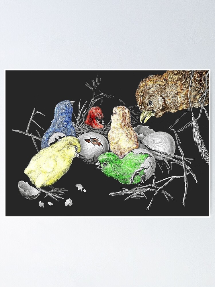 "The hatching of little chicks. " Poster by Neko92vl | Redbubble