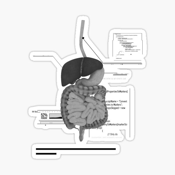 "Digestive system " Sticker for Sale by INchendio | Redbubble