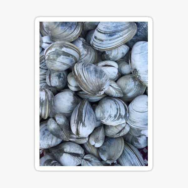 Redfox4 Shop | Redbubble