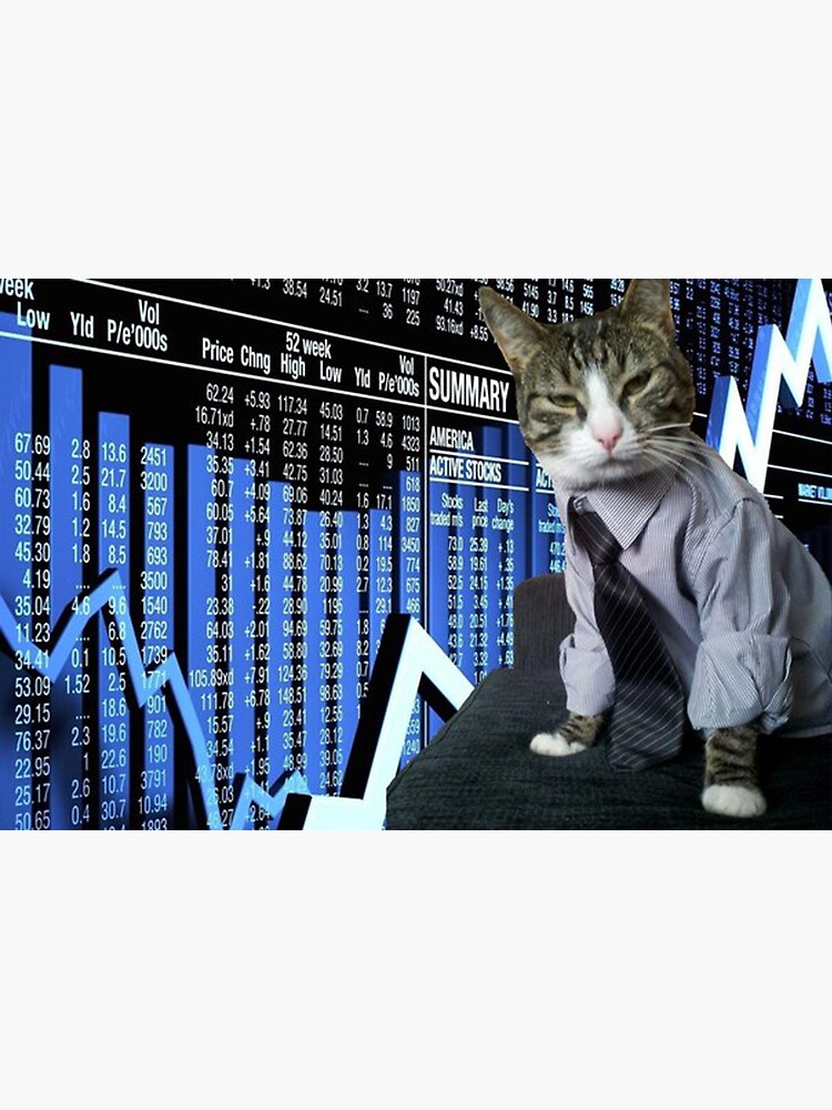 "Stonks Business Cat Design Meme" Sticker for Sale by GRAYPics | Redbubble