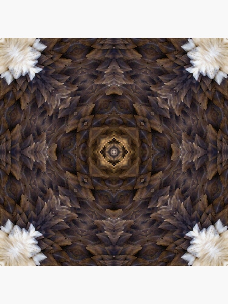 "Layered Feather Illusion | Abstract Digital Artwork" Sticker by Jodie ...