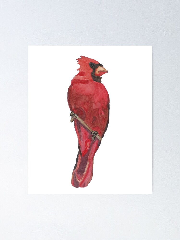 "Red Northern Cardinal Watercolor Painting " Poster for Sale by ...
