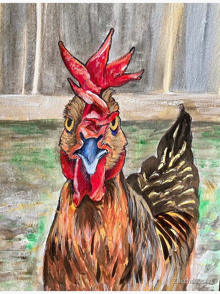 "Chicken Death Stare" Photographic Print by ZacchaeusArt | Redbubble