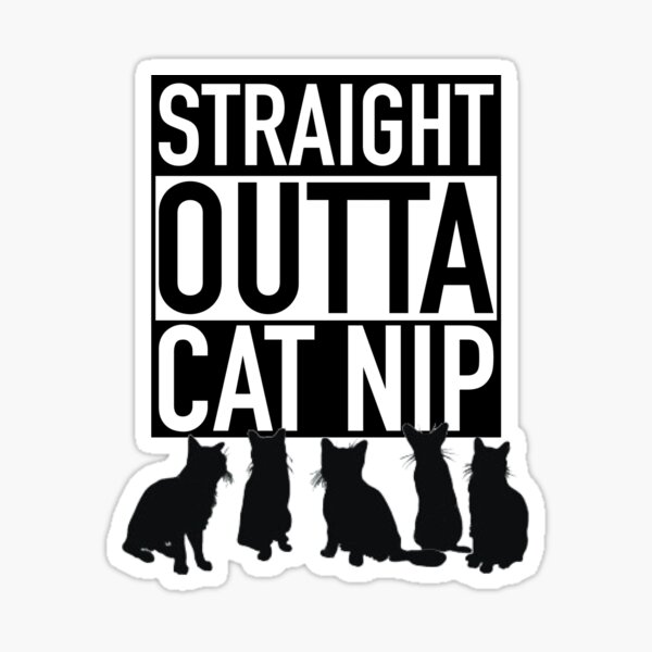 "Straight out of catnip " Sticker by Lindseyideishi | Redbubble