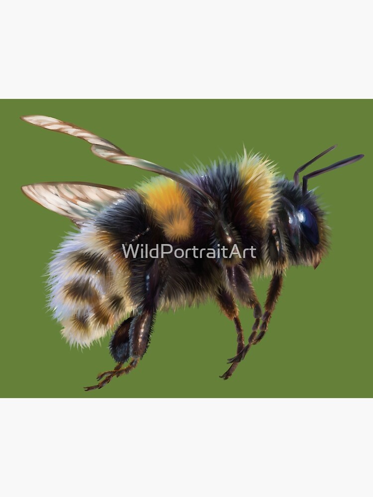 "Realistic bumblebee flying" Art Print by WildPortraitArt | Redbubble