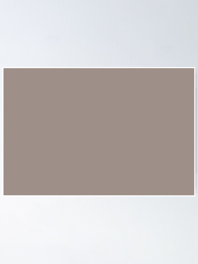 "Timeless Beige Taupe Khaki Tan Solid Color Shade Coordinates with ...