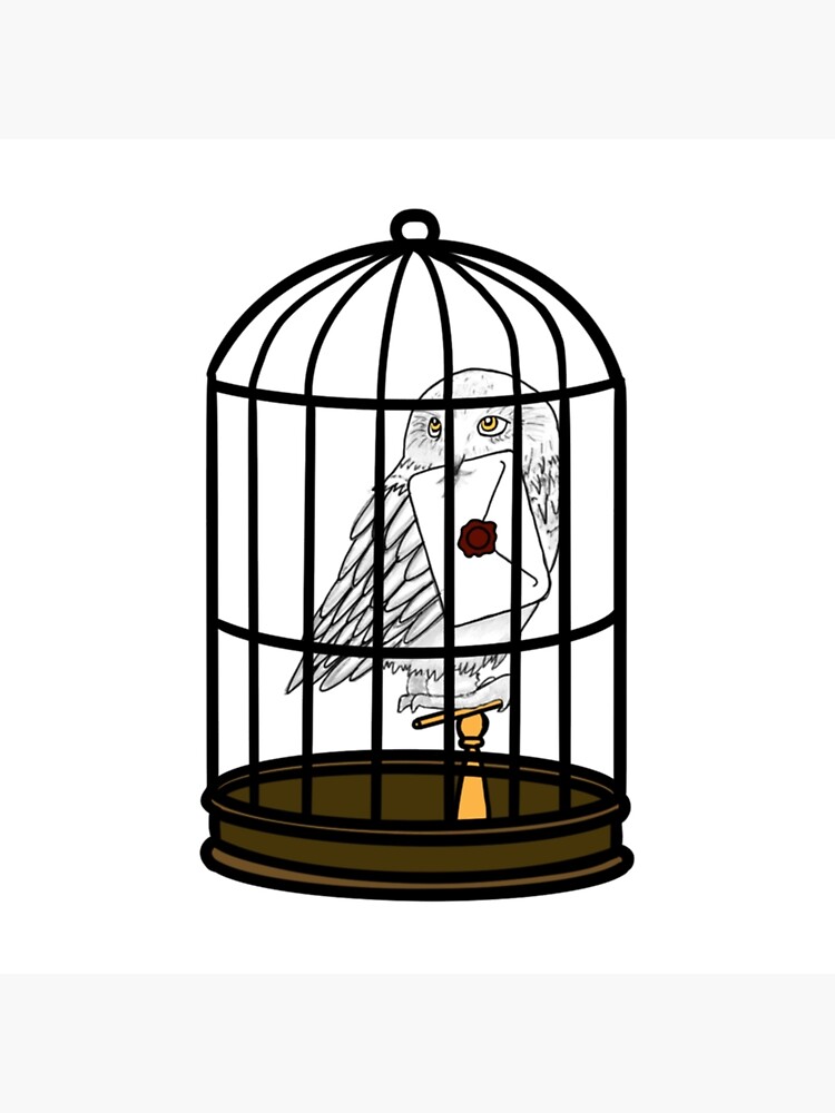 "Unique Cartoon Hedwig with Letter" Poster by Laurenbydesign | Redbubble