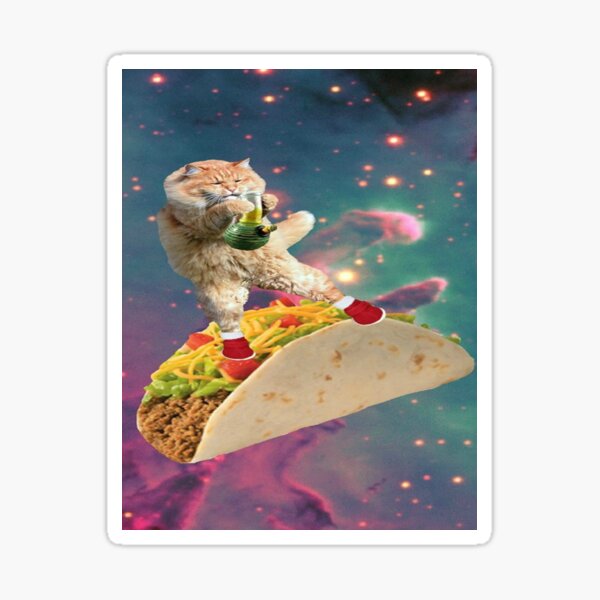 "taco bong cat" Sticker by taco-elgato | Redbubble