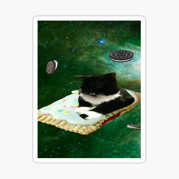 Poptart Cat Stickers | Redbubble