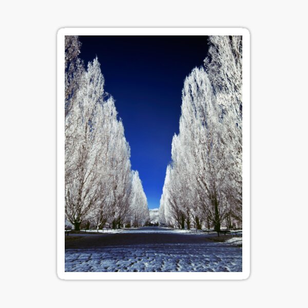 "An alley in infrared" Sticker by BonniePhantasm | Redbubble