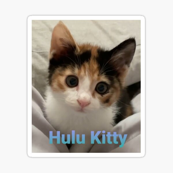 "Hulu Kitty" Sticker for Sale by jeff2610 | Redbubble
