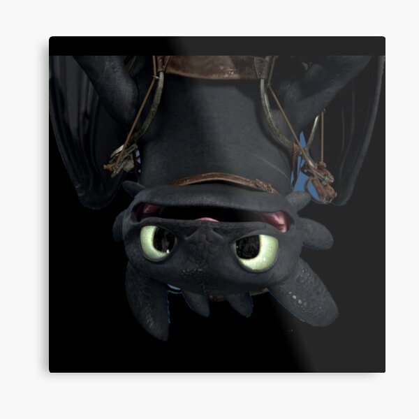 "toothless" Metal Print for Sale by artask | Redbubble