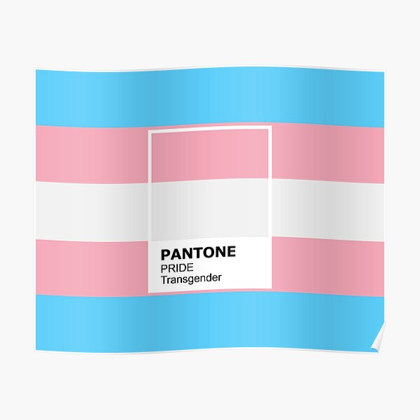 "Pride Transgender Pantone" Poster by itsonlytime | Redbubble