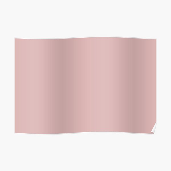 "Trendsetter Light Pastel Pink Solid Color Coordinates w/ Sherwin ...