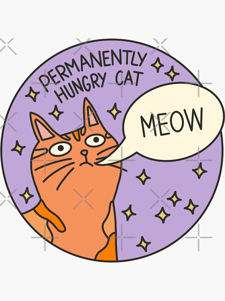 "Permanently hungry cat" Sticker by PeachCatDesigns | Redbubble