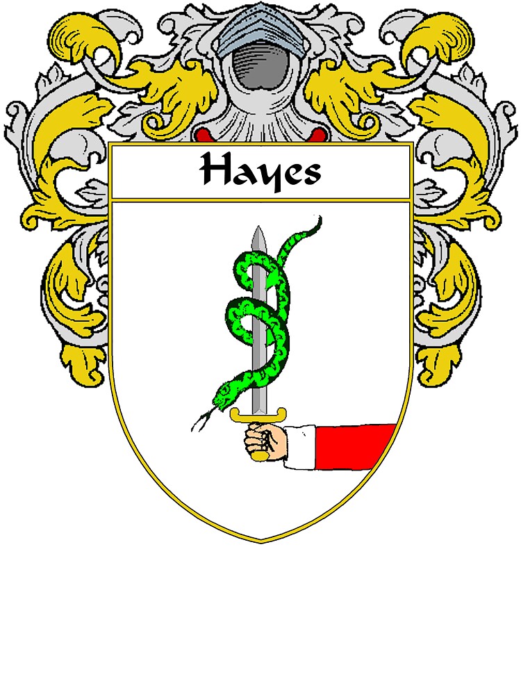"Hayes Coat of Arms/Family Crest" Kids T-Shirt for Sale by IrishArms ...