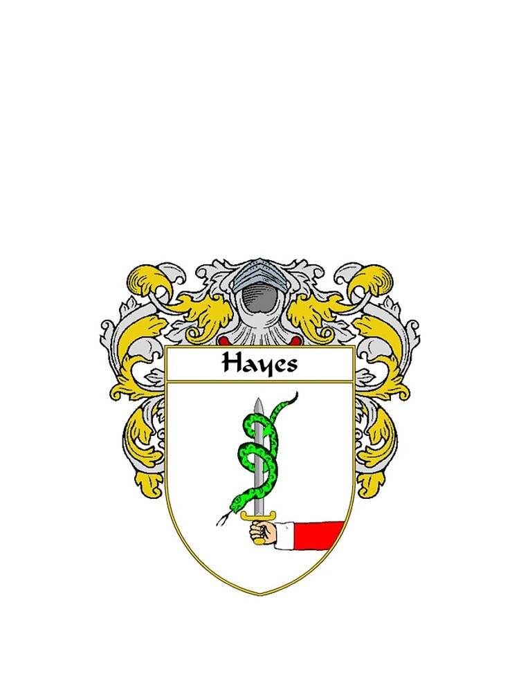 "Hayes Coat of Arms/Family Crest" iPhone Case for Sale by IrishArms ...