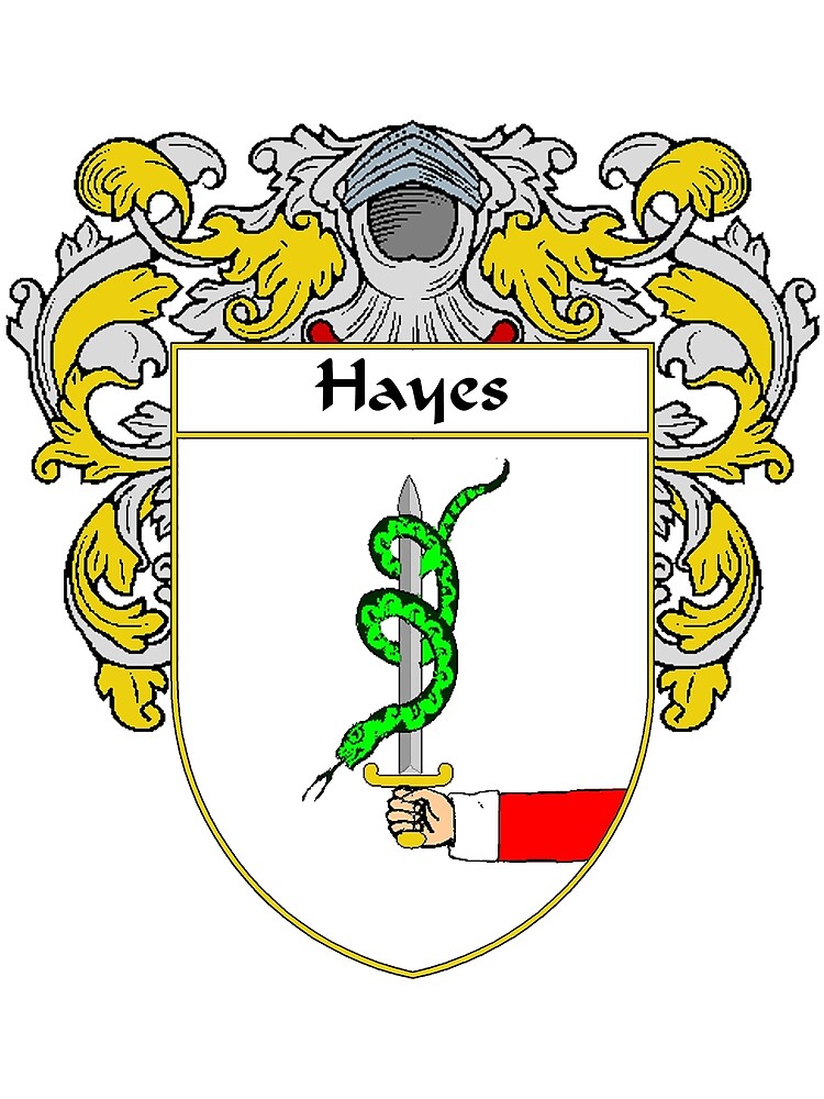 "Hayes Coat of Arms/Family Crest" Canvas Print for Sale by IrishArms ...