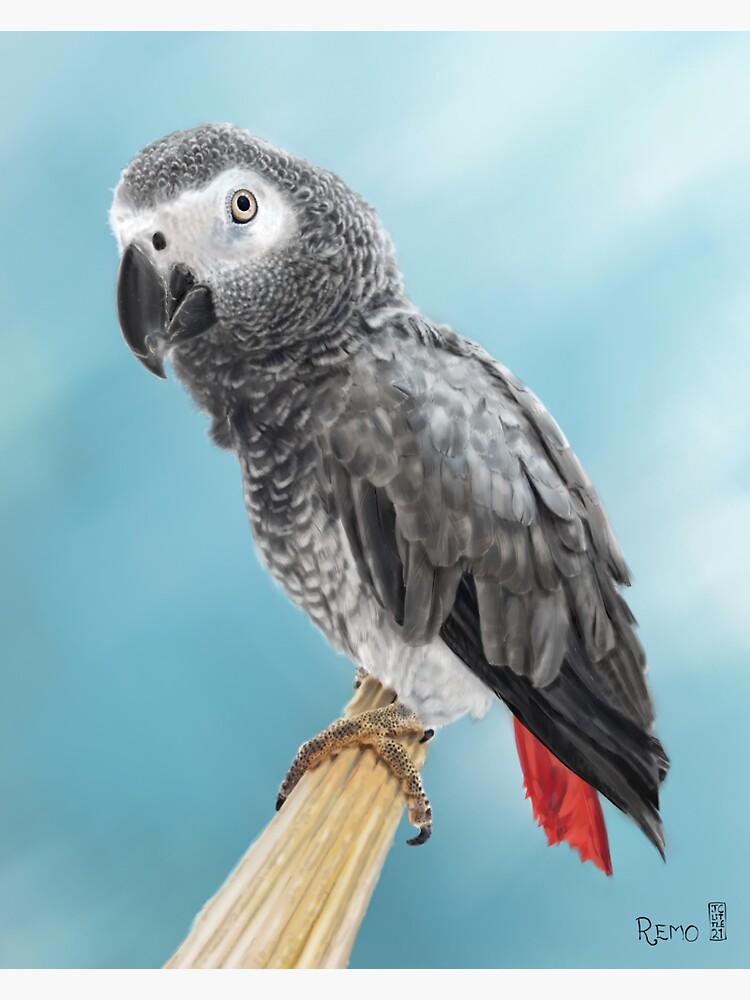 "Holly's Remo" Sticker by animatedwoman | Redbubble