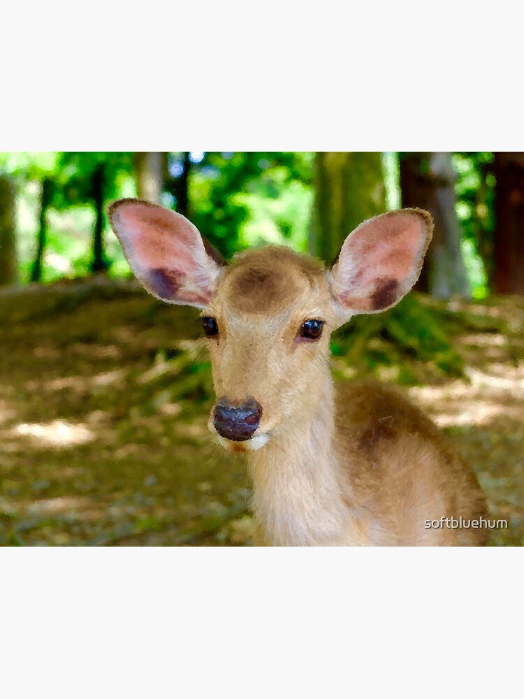 "Nara Deer Fawn" Sticker for Sale by softbluehum | Redbubble