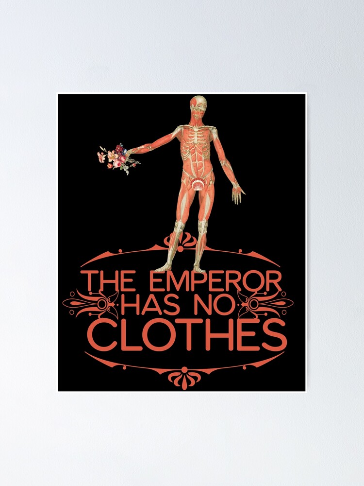 "the emperor has no clothes" Poster for Sale by sandpiperstudio | Redbubble