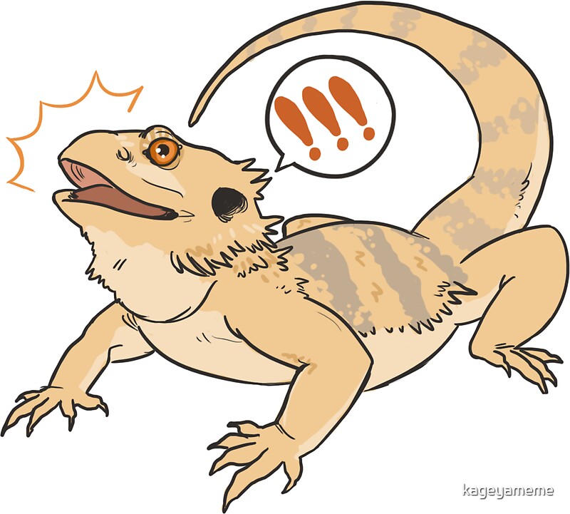 Lizard: Stickers | Redbubble