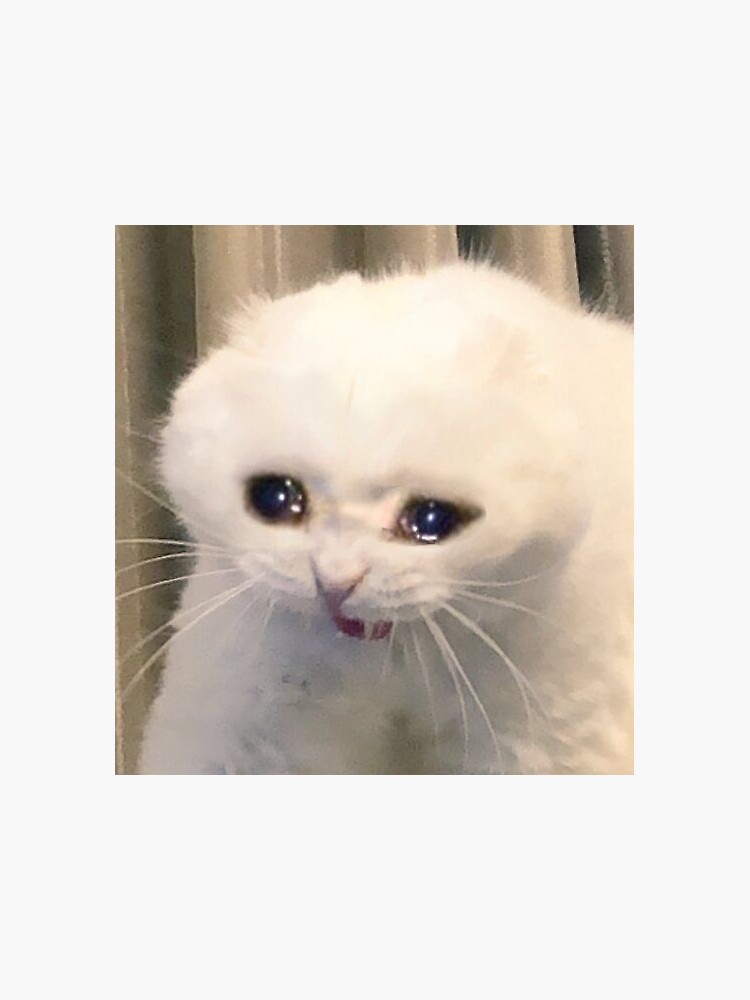 "Crying cat " Sticker for Sale by blah707 | Redbubble
