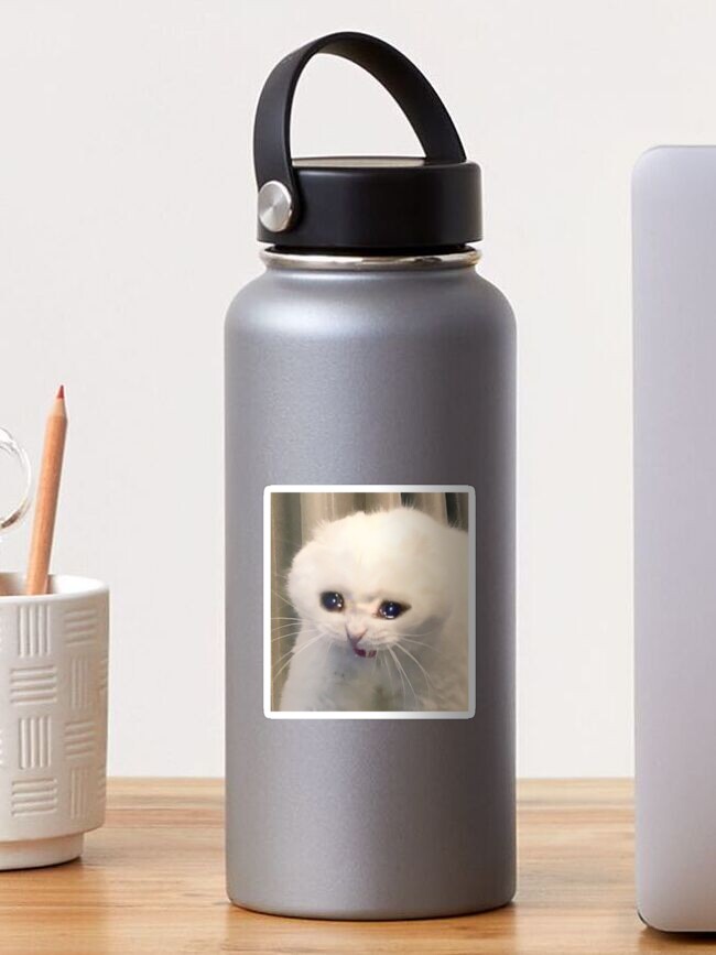 "Crying cat " Sticker for Sale by blah707 | Redbubble
