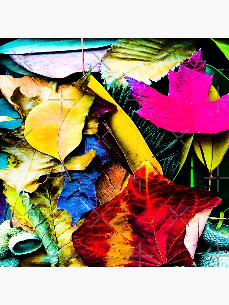 "Multi Coloured Nature Pattern Collage Melbourne Australian Art ...