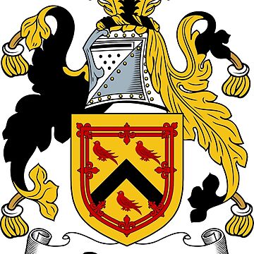 "Barron Coat of Arms / Barron Family Crest" Photographic Print for Sale ...