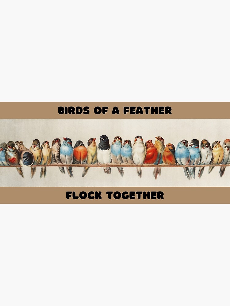 "Birds of a feather flock together" Poster for Sale by likota | Redbubble