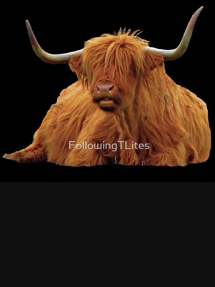 "Highland Cow on Tiree" T-shirt for Sale by FollowingTLites | Redbubble ...