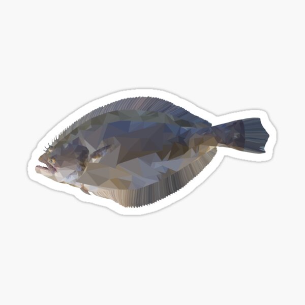 " Summer Flounder (Fluke) Geometric Design " Sticker for Sale by ...