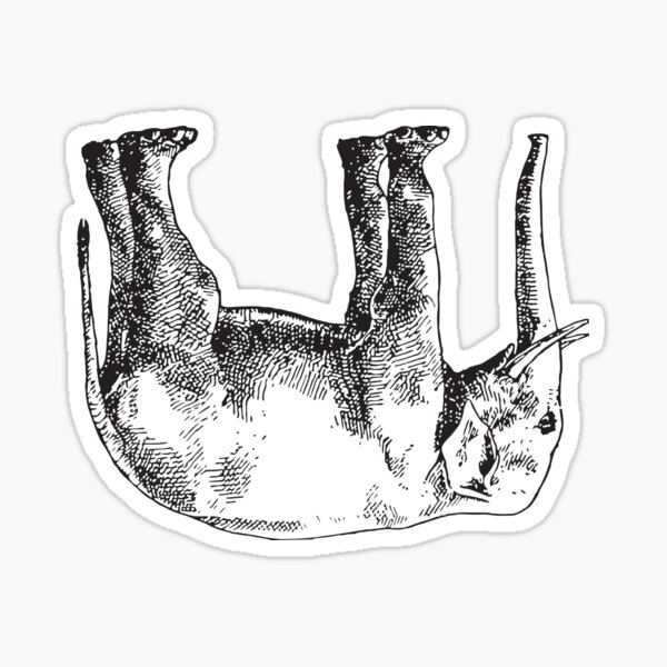 "Upside down elephant. Elephant Club Gdańsk Poland INCOGNITO" Sticker ...