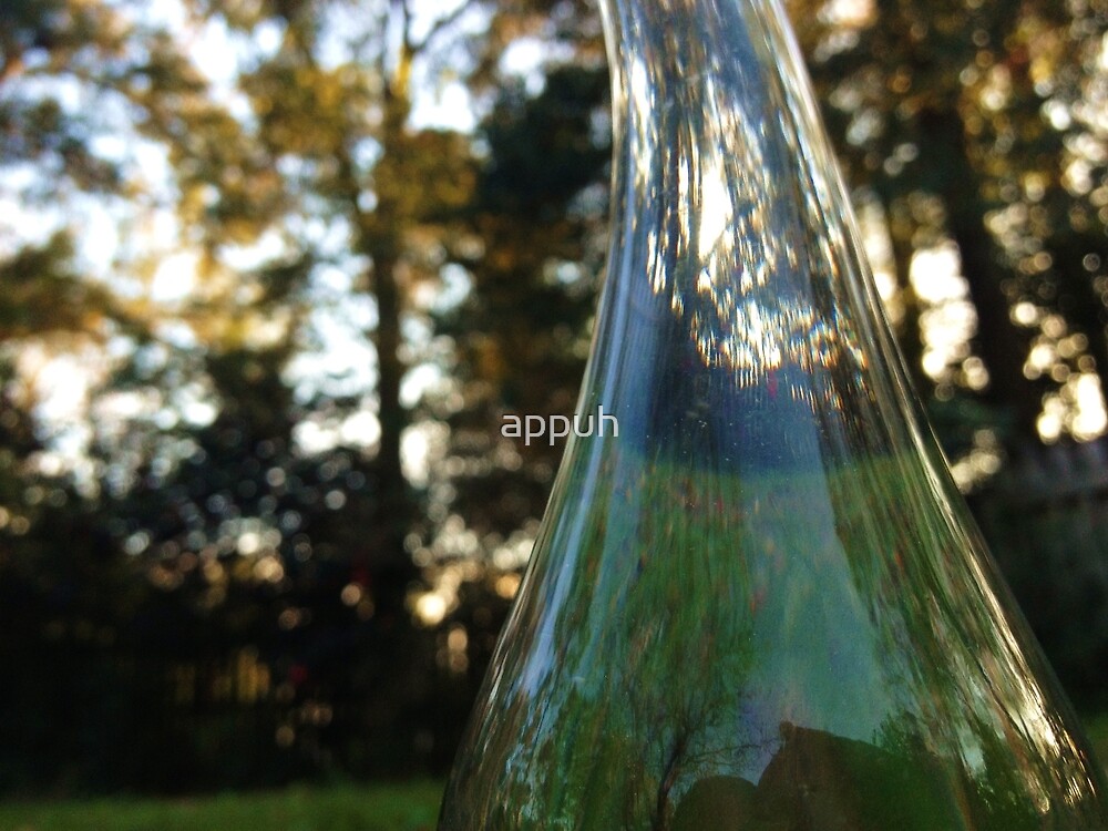 "Distorted bottle" by appuh | Redbubble