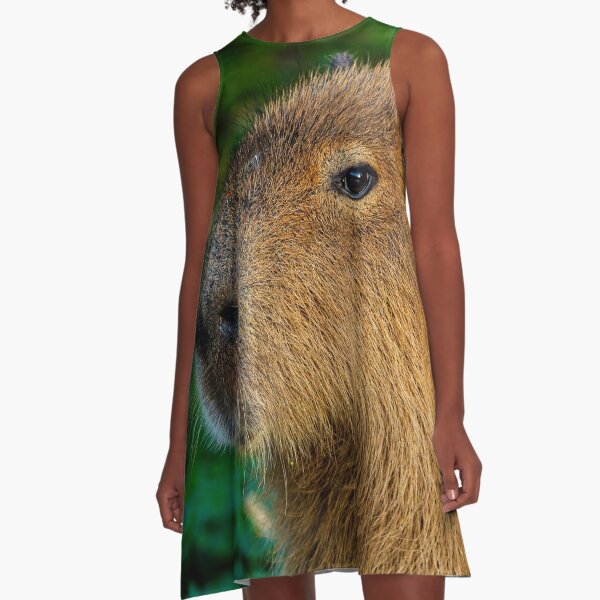 "Capybara deep in thought" A-Line Dress for Sale by Dalyn | Redbubble