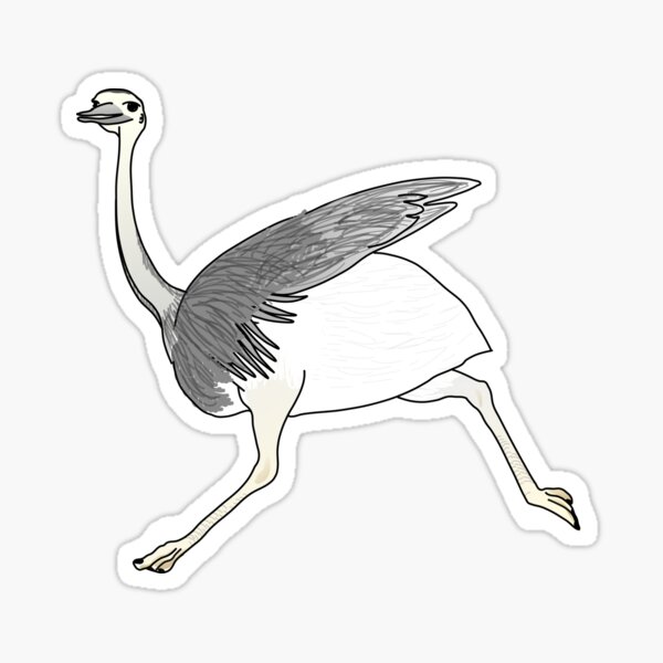 "Rhea rhea american emu animal bird biodiversity" Sticker for Sale by ...