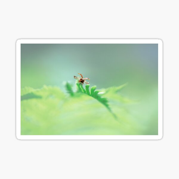 "One moment" Sticker for Sale by anastasia-ri | Redbubble